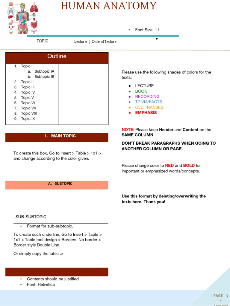 Anatomy Template | PDF | Typography | Encodings