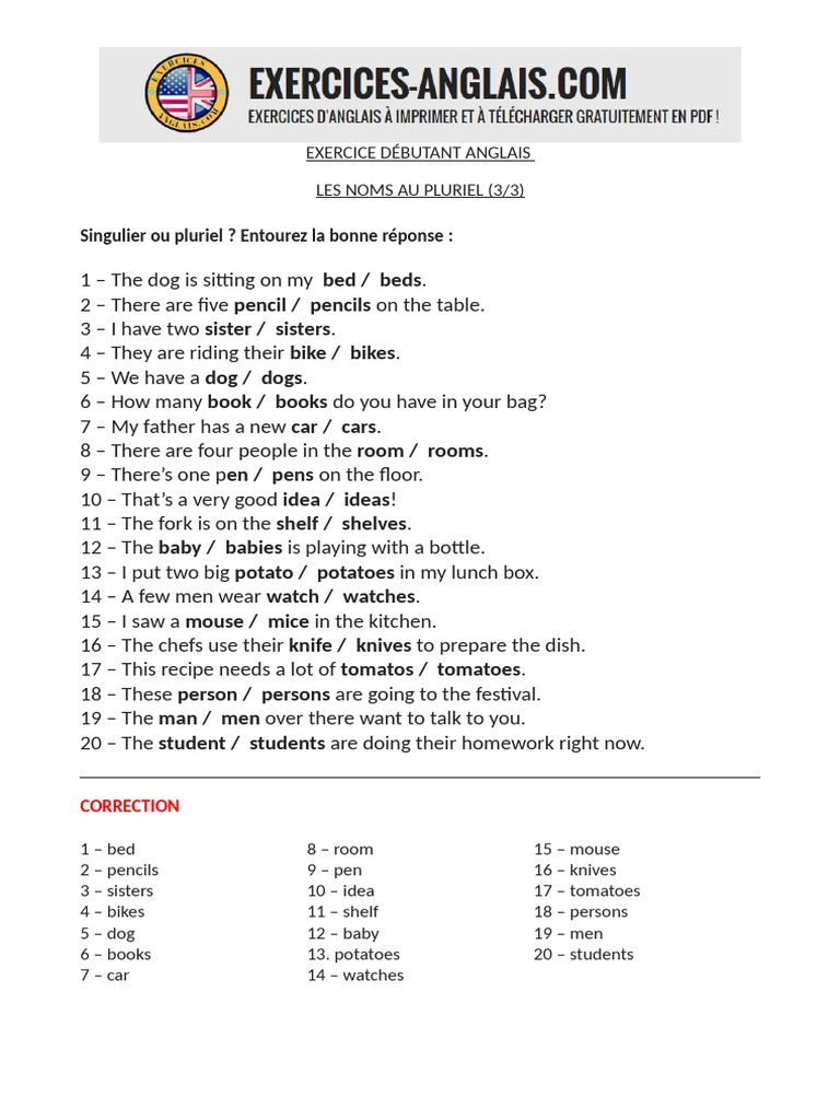 10 Exercice Anglais Debutant Pluriel Des Noms 3 | PDF