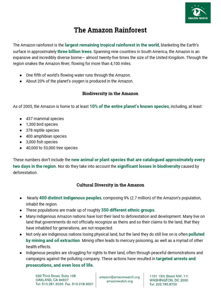Amazon Rainforest Fact Sheet | PDF | Amazon Rainforest | Deforestation