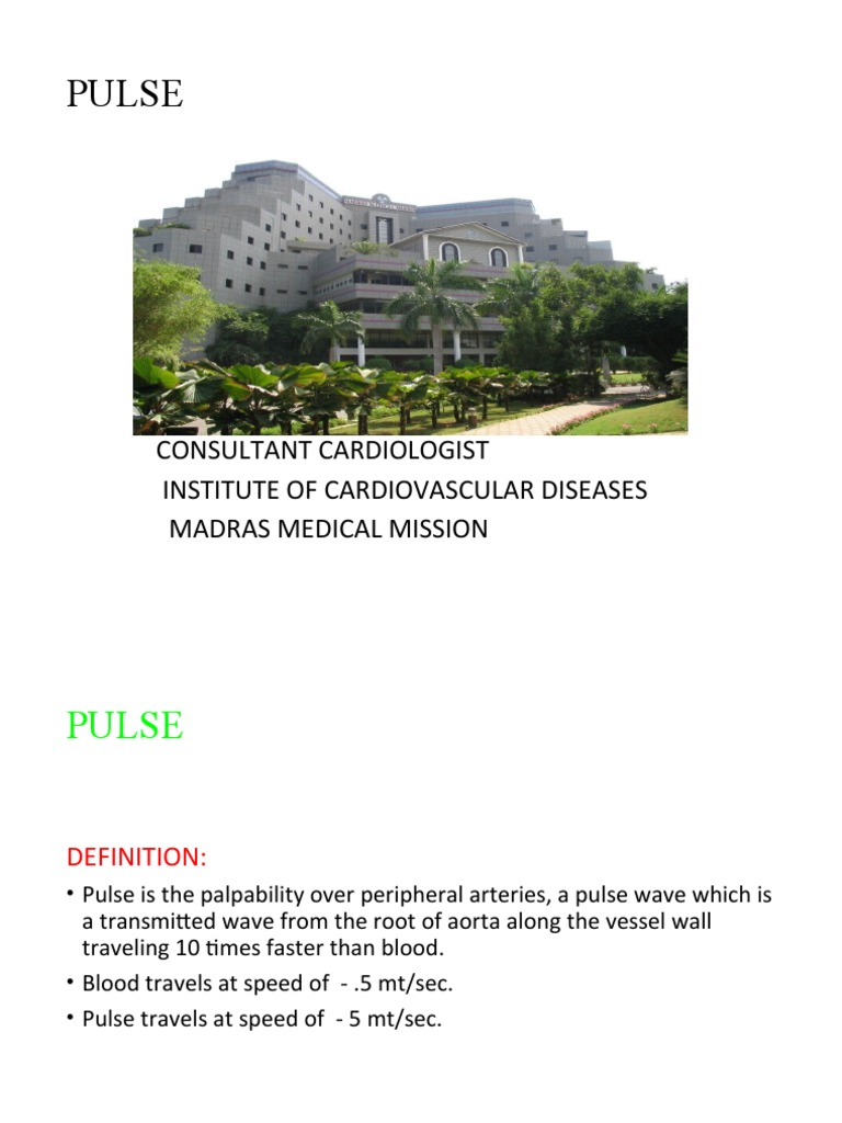 PULSE | PDF | Pulse | Blood Pressure
