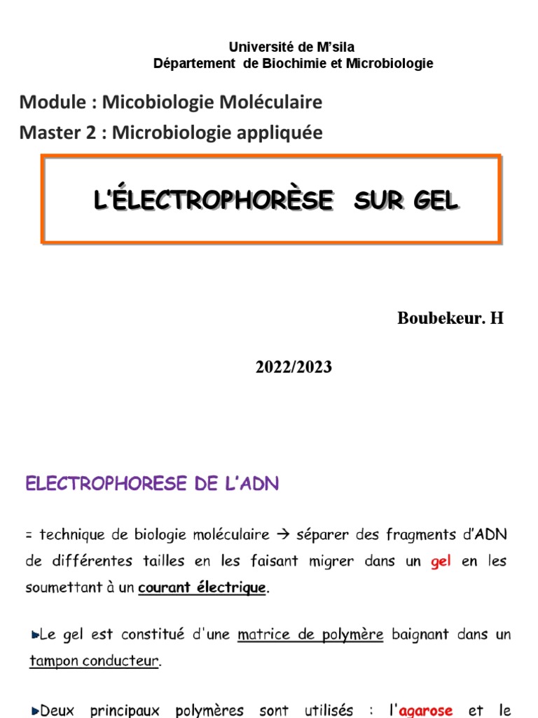 L'électrophorèse 1 | PDF | Électrophorèse sur gel | Techniques ...