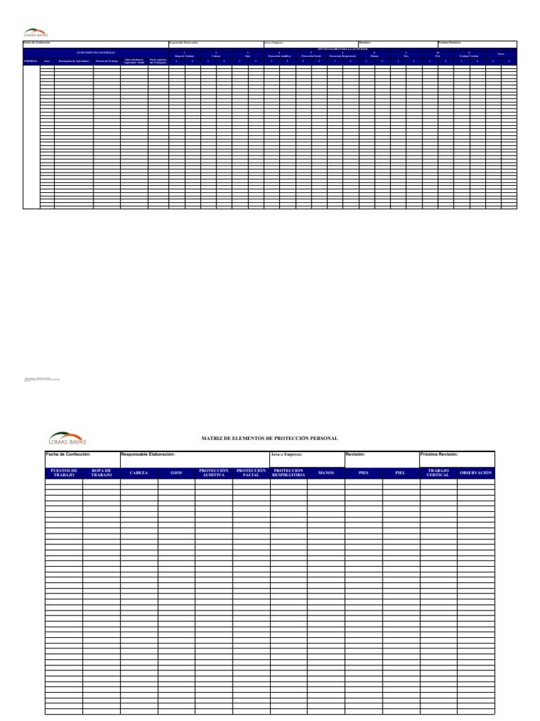 LB-IF-SSS-SLB-0009 - Temp. Levantamiento y Matriz EPP | PDF