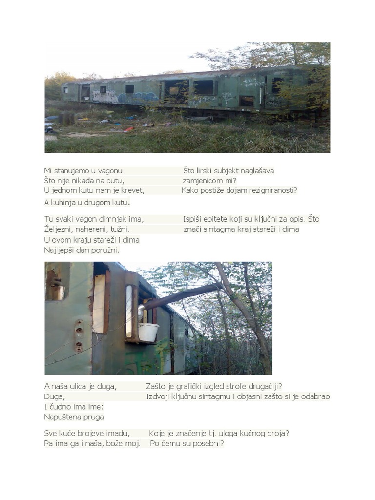 PISCI Cesaric Vagonasi | PDF