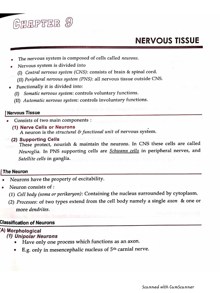 Firdous Histology 2ndyear | PDF