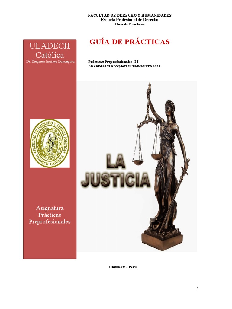 Guía de Práctica Preprofesional - 2022-III | PDF | Evaluación | Plan de estudios