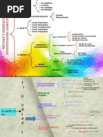 Ley #27604 Atencion de Emergencias | PDF | Ley Pública | Justicia