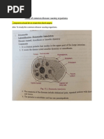 Biology Practical Question | PDF