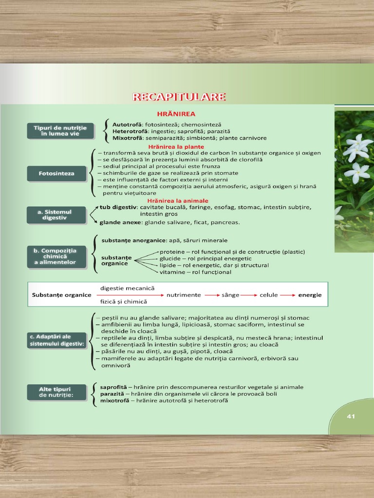 Recapitulare Biologie | PDF