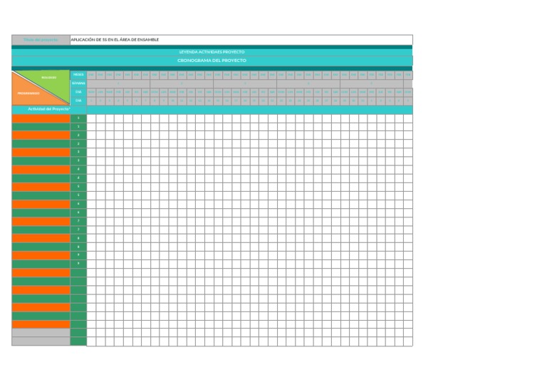 Implementación de 5S en Ensamble | PDF