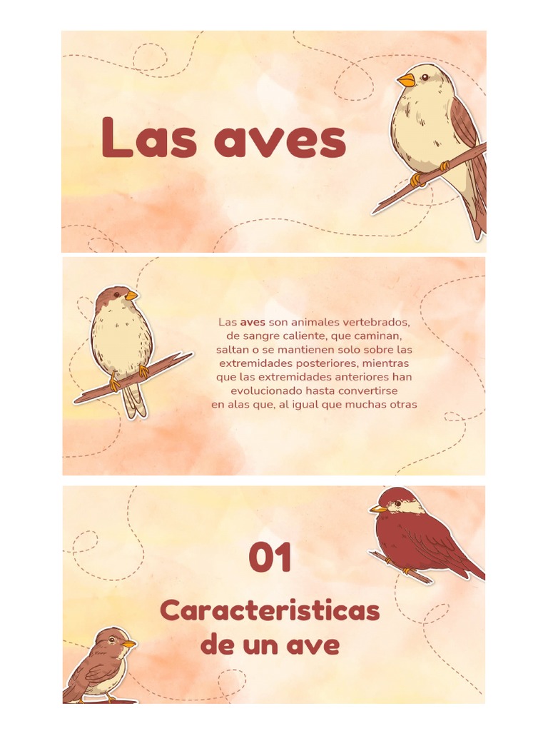 Las Aves 2 | PDF