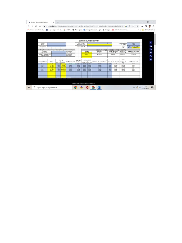 Planilha Bunker Survey Report Modelo | PDF