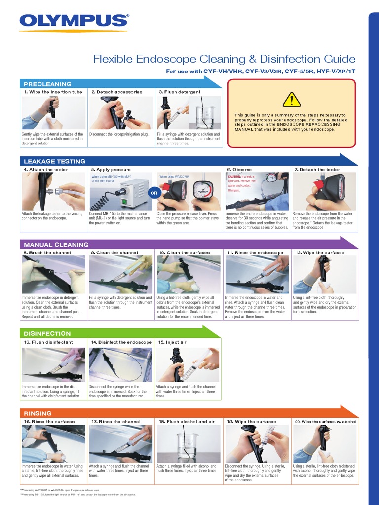 Flexible Endoscope Wall Chart | PDF | Endoscopy | Syringe