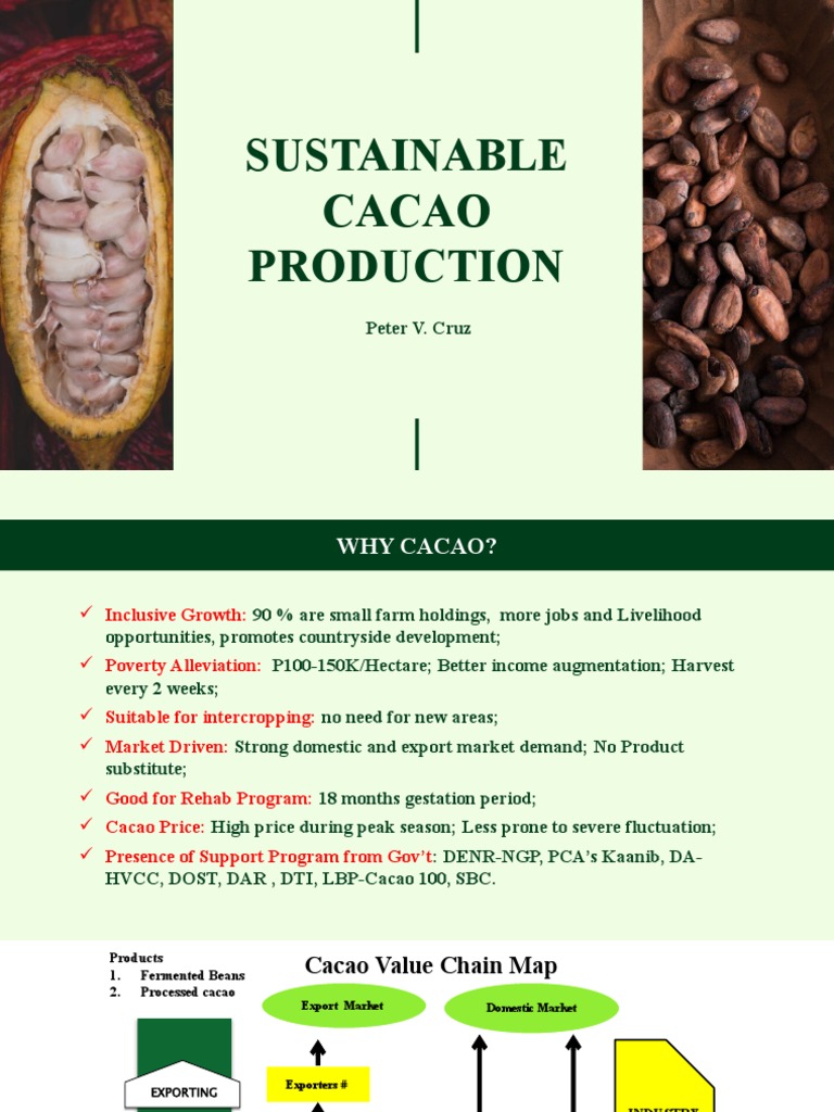 Sustainable Cacao Production 2021 | PDF | Cocoa Bean | Chocolate