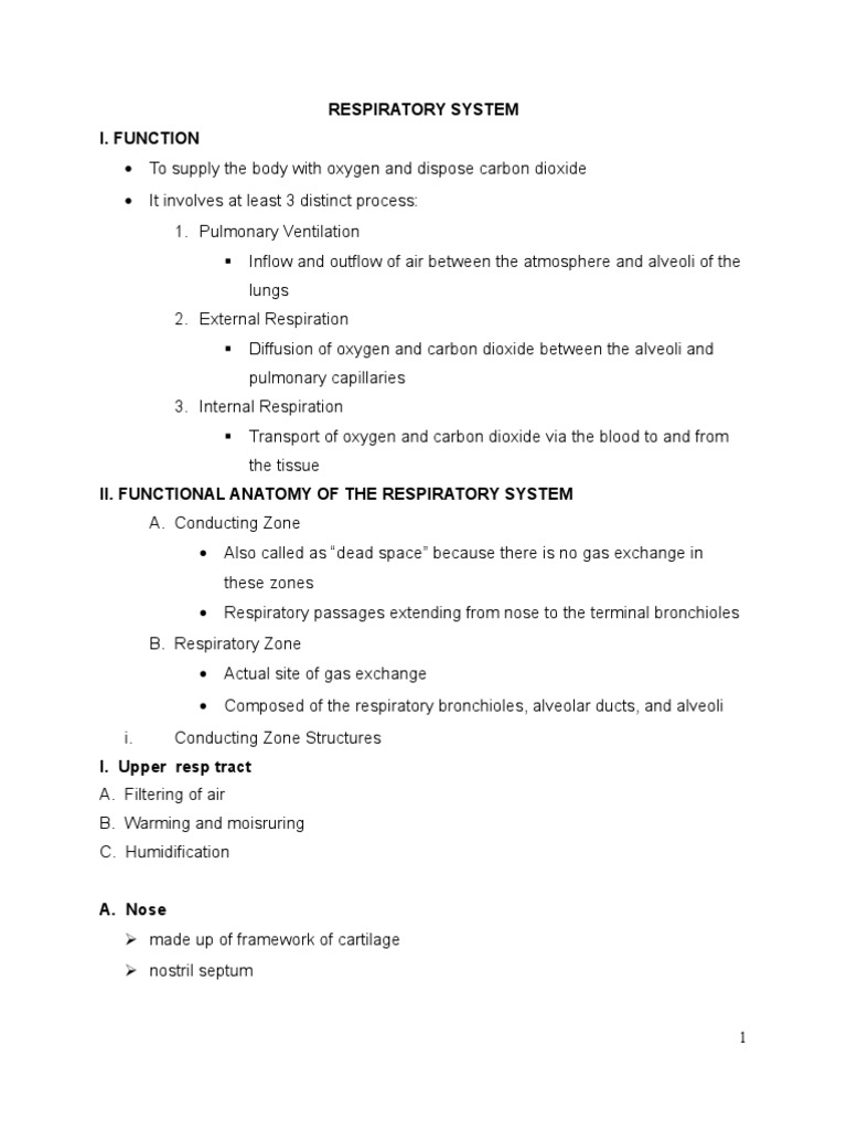 Respi Anatomy | PDF | Respiratory Tract | Respiratory System