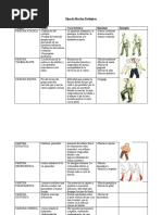 Escala ECOG | PDF | Salud y bienestar