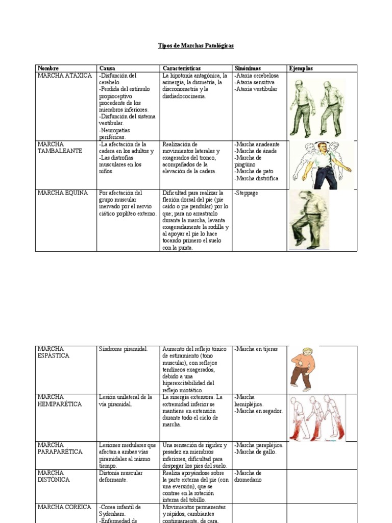 Marchas Patologicas | PDF | Rodilla | Pie