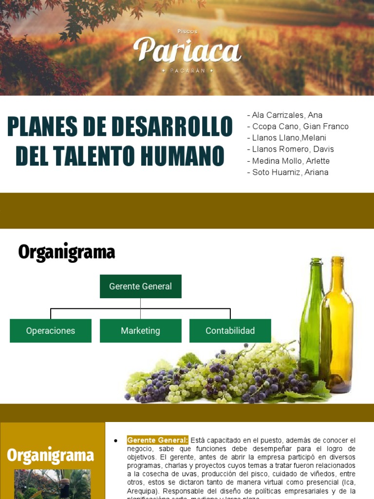 Planes de Desarrollo de Talento Humano | PDF | Gestión de recursos ...