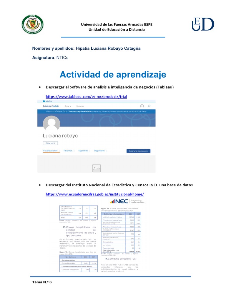 A6 Robayo Luciana NTICs | PDF