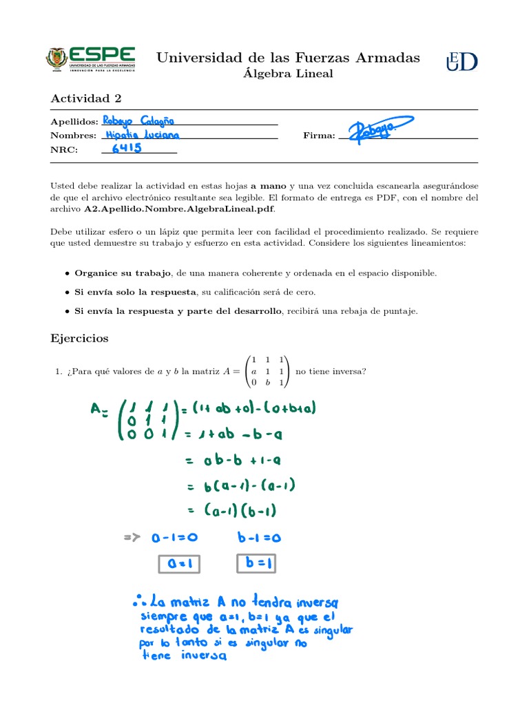Robayo C. Hipatia L. Álgebra Lineal Tarea 2 | PDF | Determinante | Matriz (Matemáticas)
