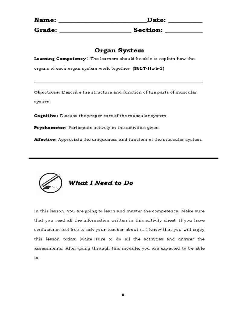 Muscular System | PDF | Skeletal Muscle | Human Body