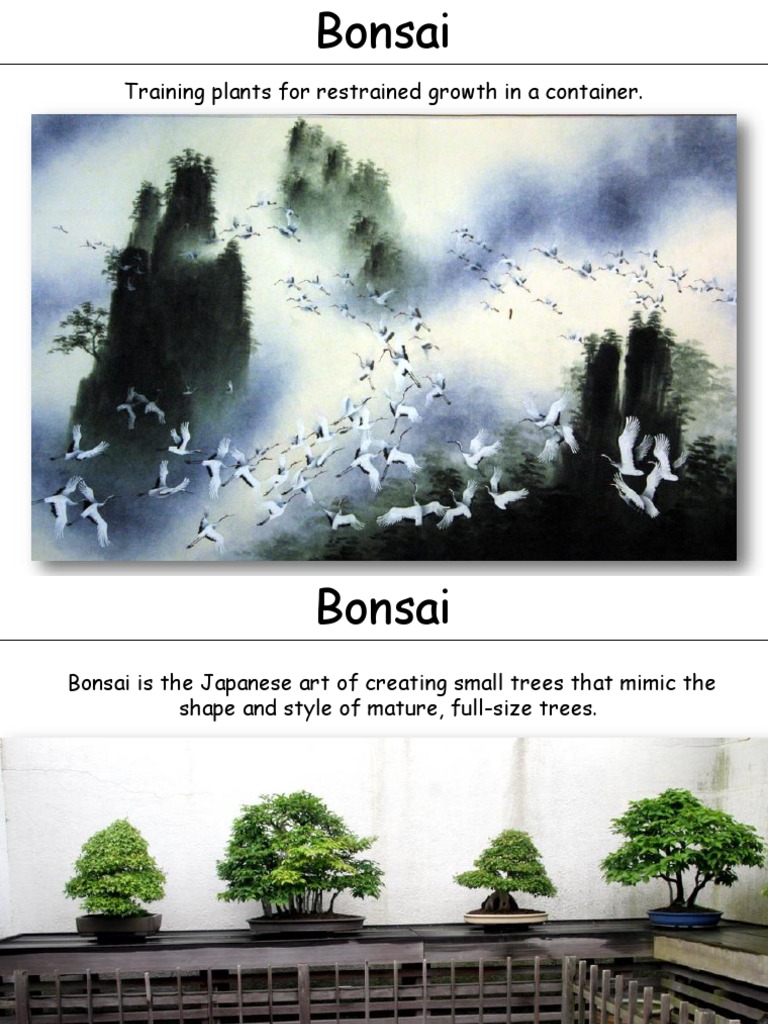 Bonsai | PDF | Bonsai | Botany