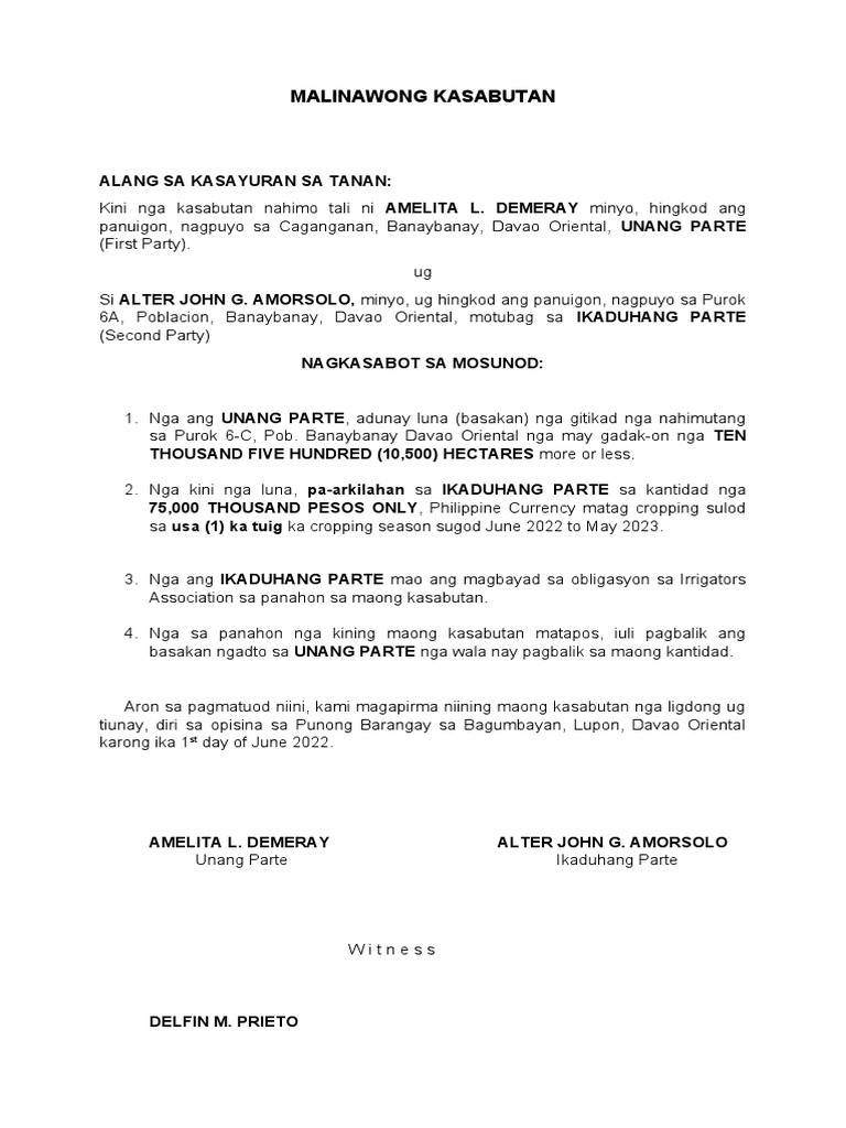 Malinawong Kasabutan | PDF