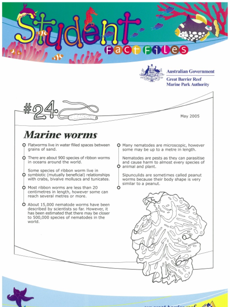 24 - Marine Worms | PDF