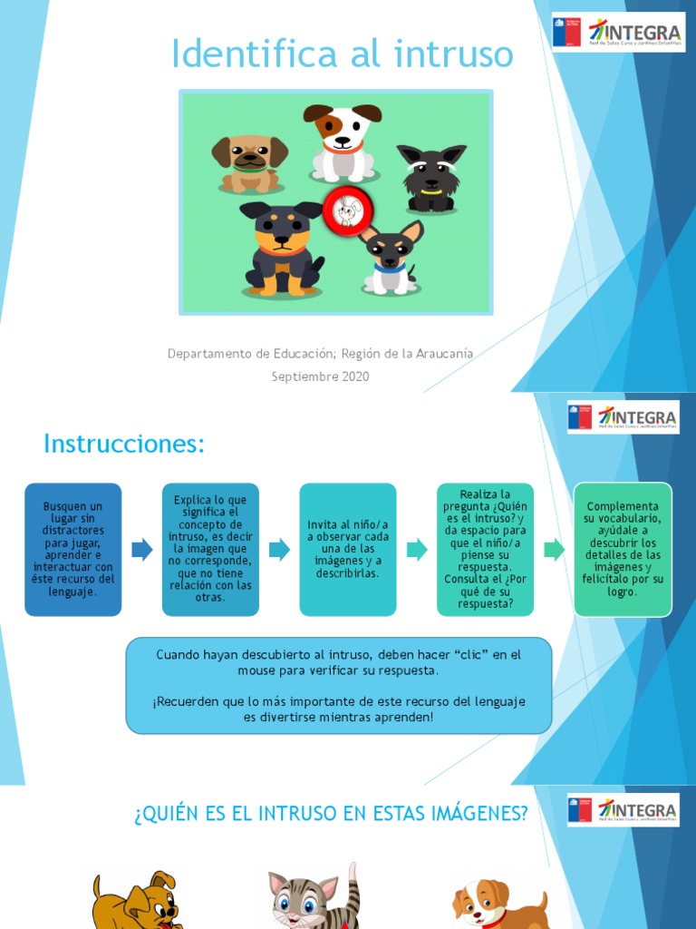 Identifica Al Intruso | PDF