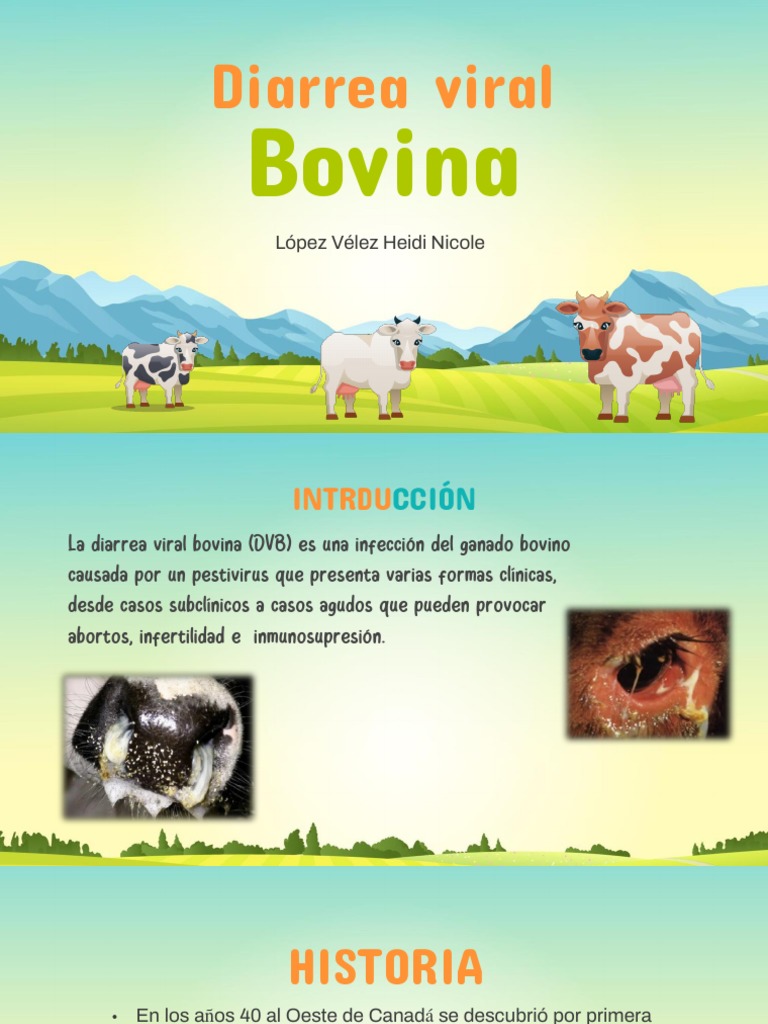 Diarrea Viral Bovina: Patogenia y Tratamiento | PDF | Virus | Diarrea