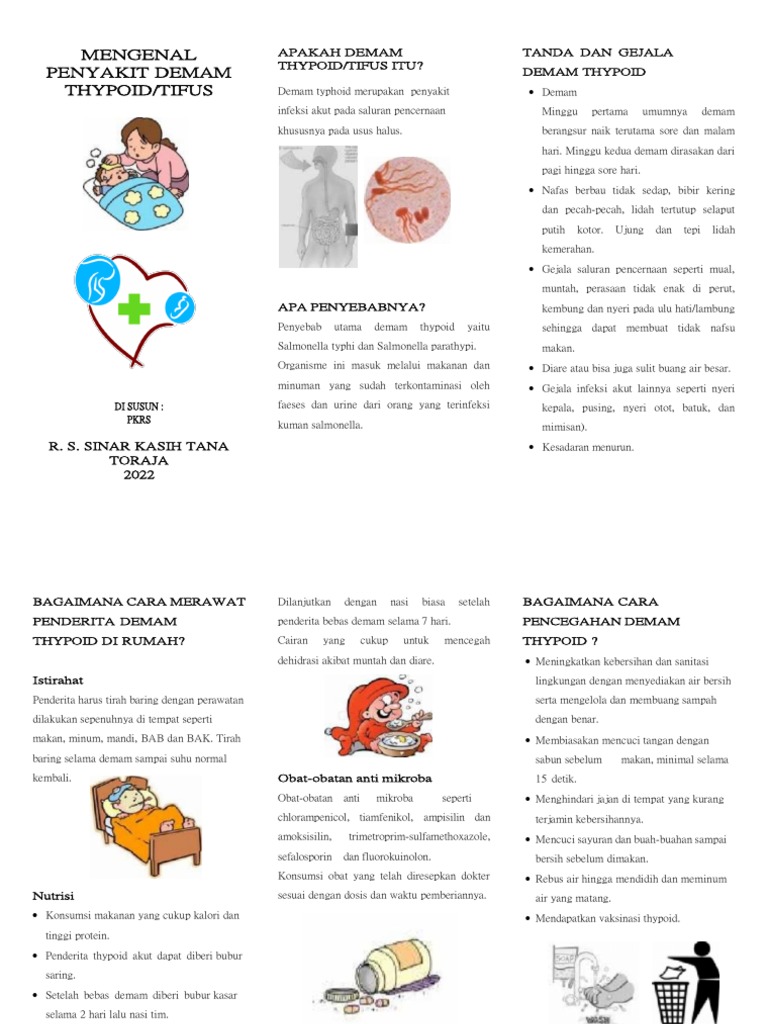 2 Leaflet-Thypoid | PDF