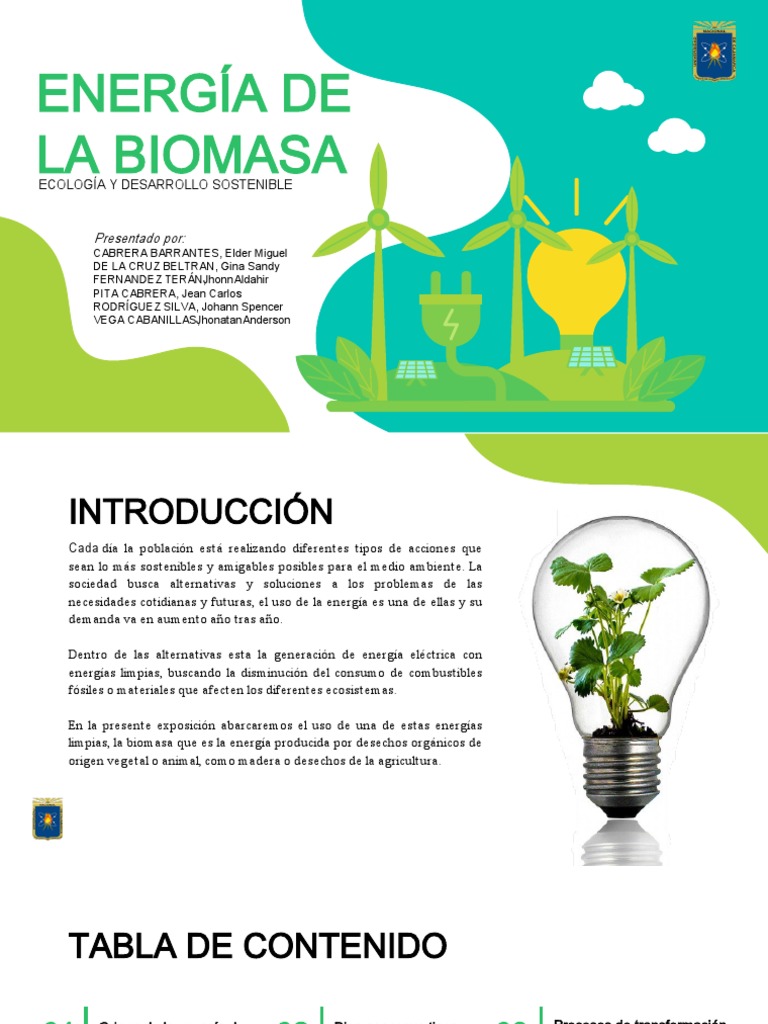 Energia de La Biomasa | PDF | Biomasa | Naturaleza