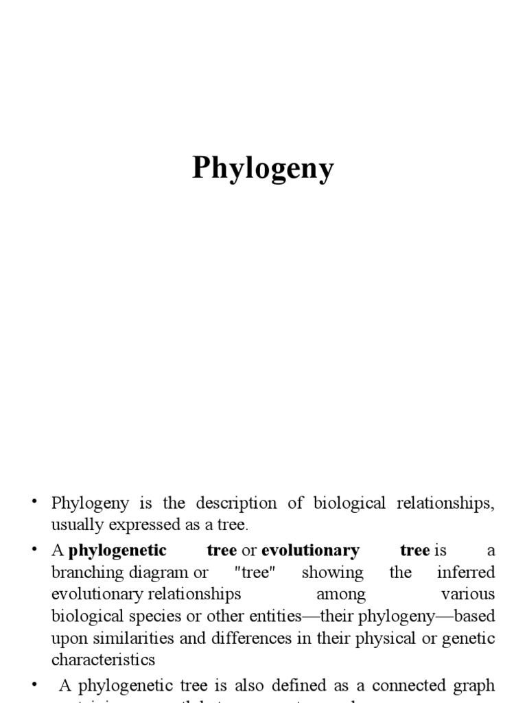 An Overview of Phylogeny: Types of Phylogenetic Trees, Approaches to ...