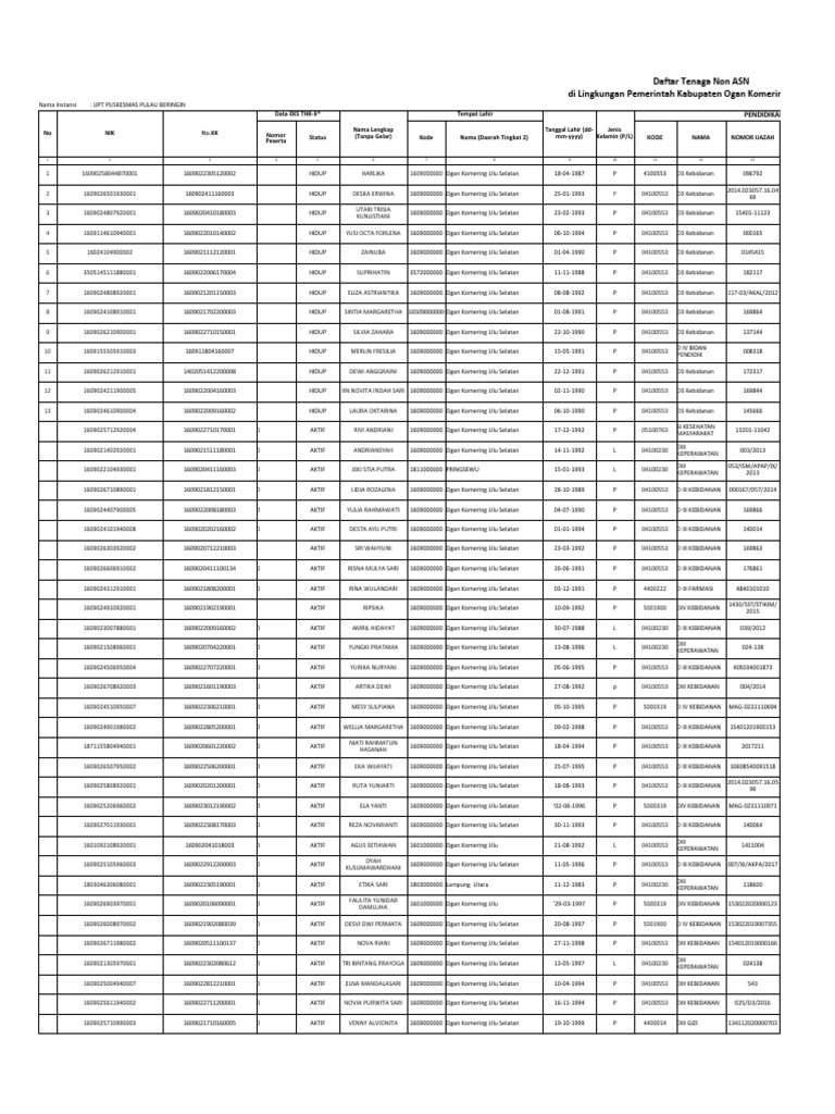 Excel Format Data Nakes PKM Pulau Beringin | PDF