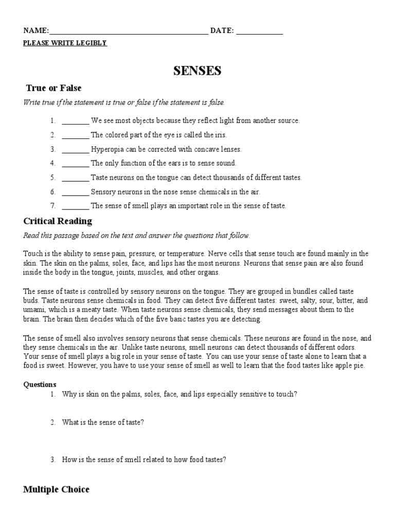 Senses - Worksheet | PDF | Senses | Taste