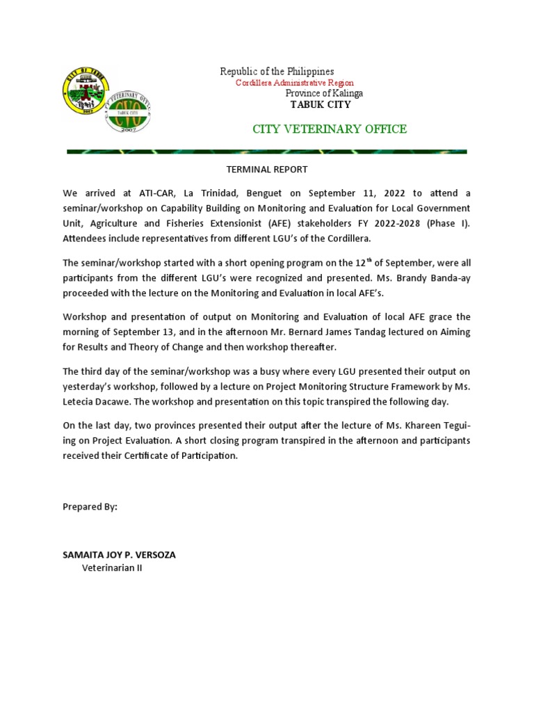 Terminal Report On ATI | PDF