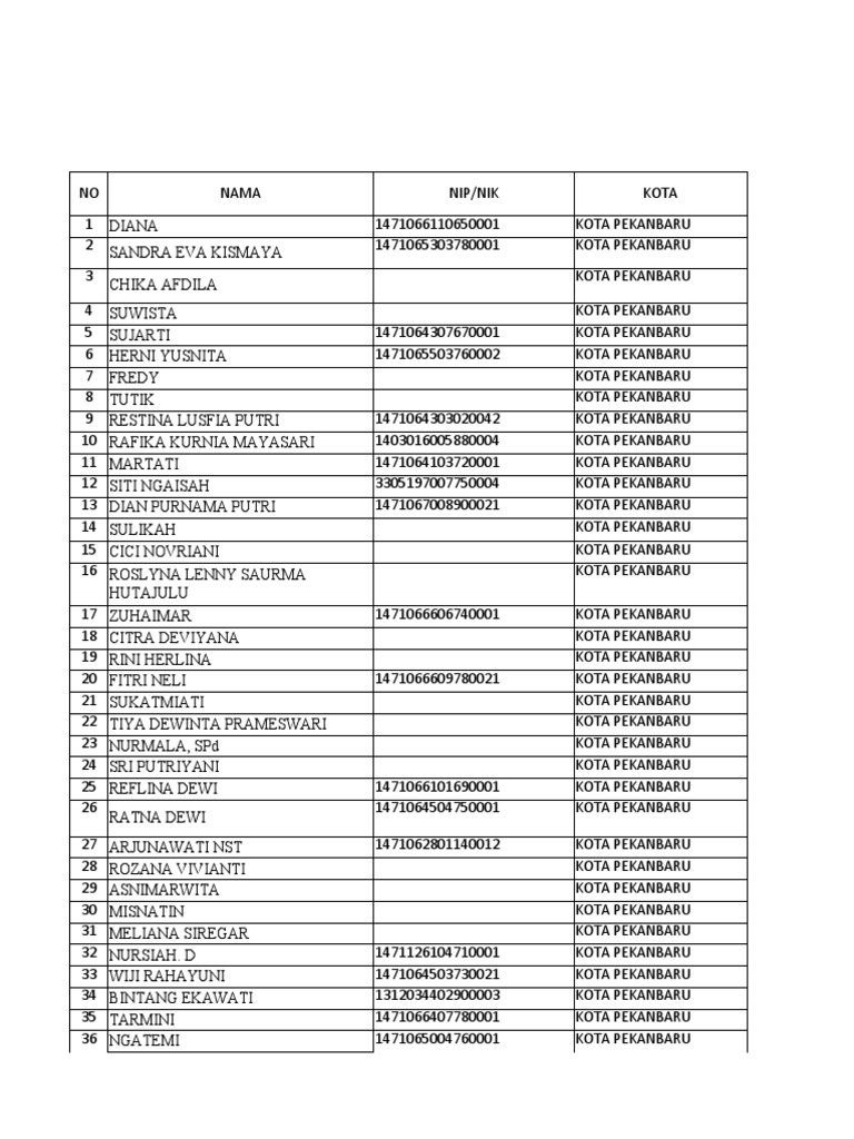 Data Tim Pendamping Keluarga Pekanbaru | PDF