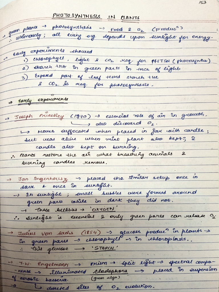 Photosynthesis Notes | PDF | Physiology | Organic Compounds