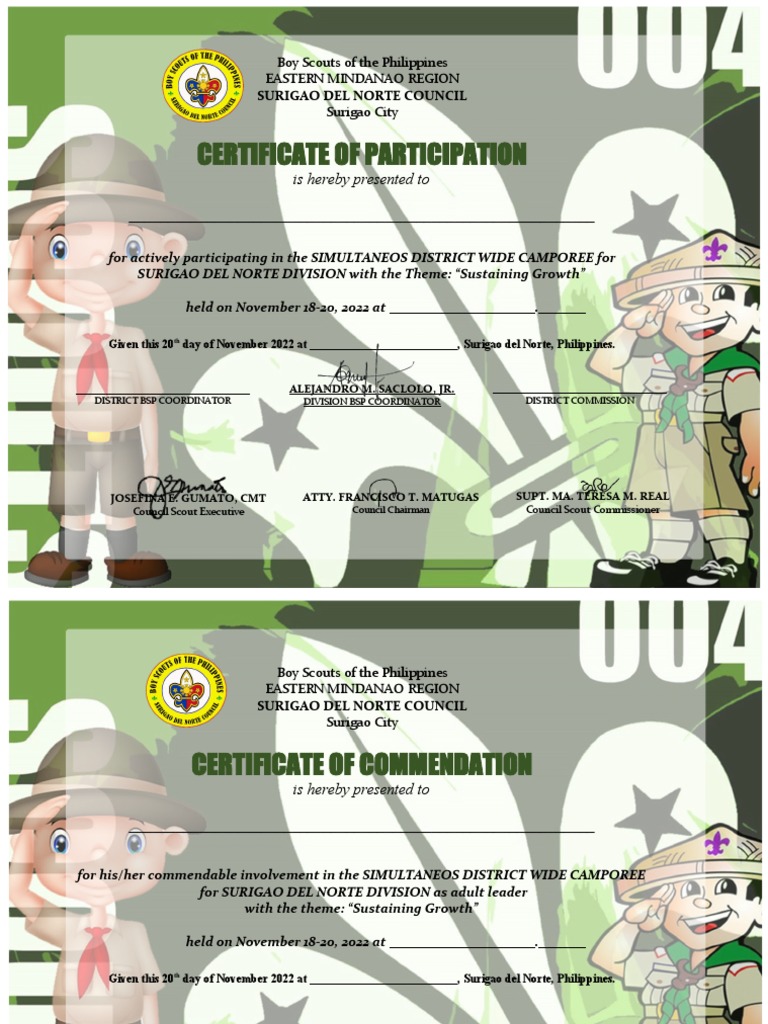 Certificate Sample SURIGAO DELNORTE | PDF | Girl Guiding And Girl ...