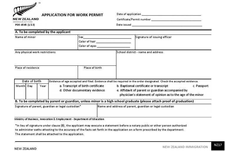 Application For Work Permit | PDF