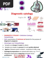 Cytologic Patterns - Eclinpath | PDF | Inflammation | Macrophage