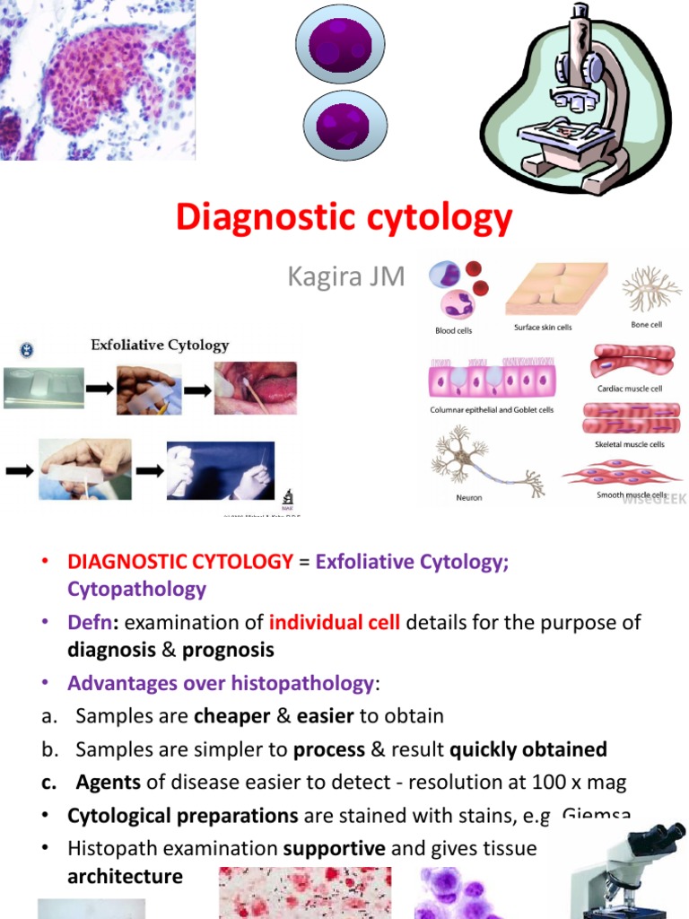 Overview of Diagnostic Cytology Techniques | PDF | Cytopathology ...