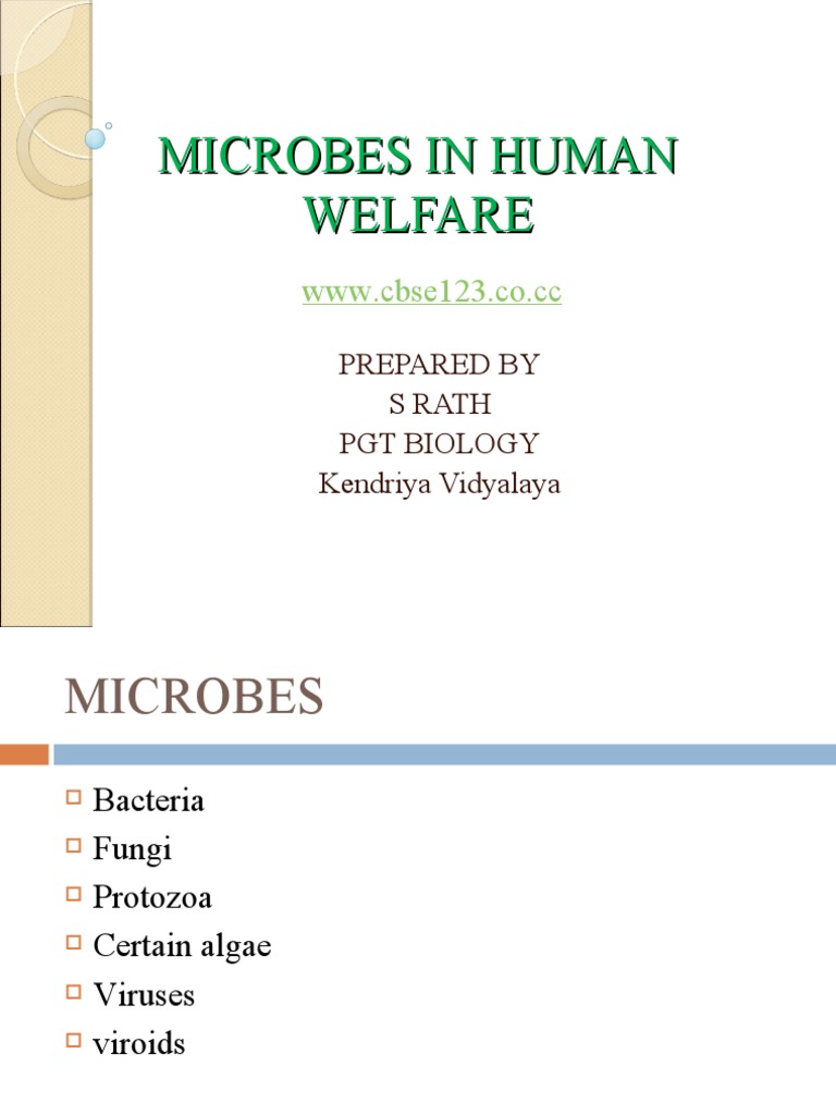 Microbes in Human Welfare | PDF | Microorganism | Fermentation