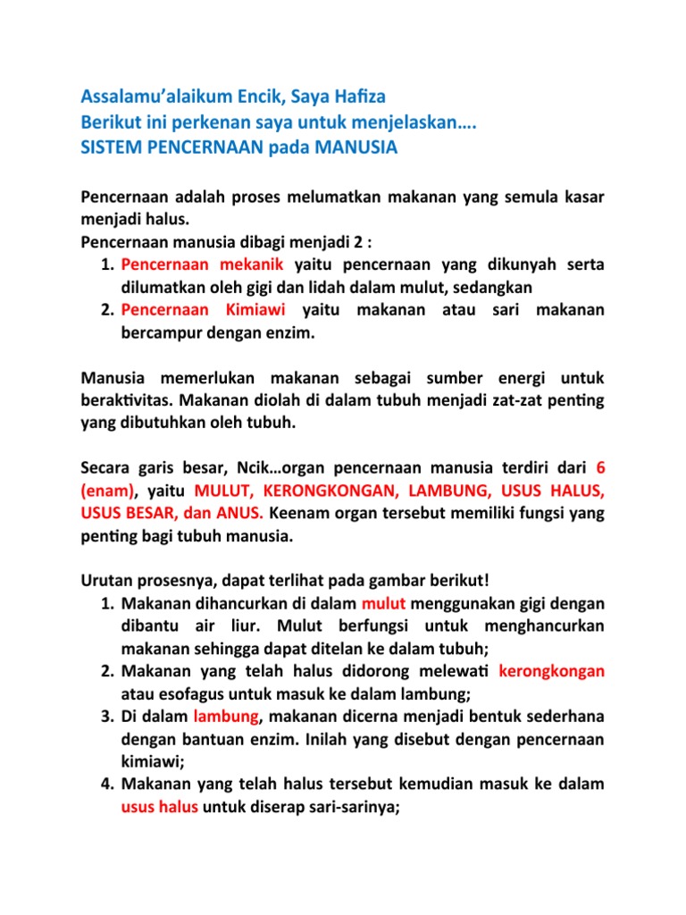 Narasi Sistem Pencernaan Manusia | PDF