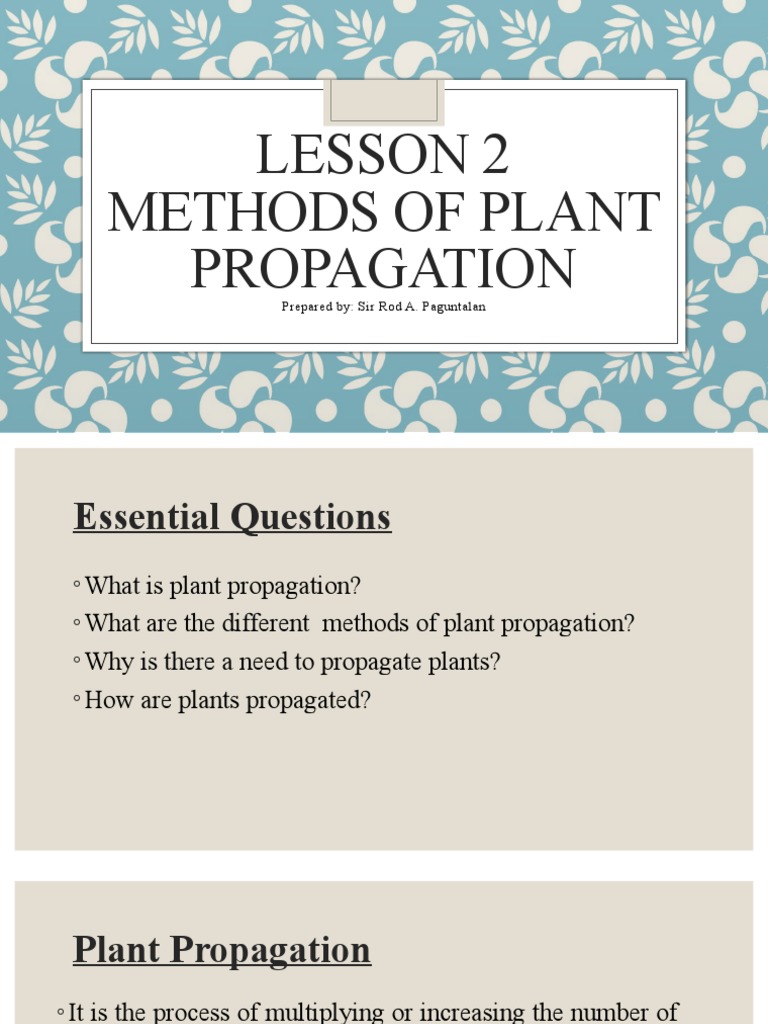Methods of Plant Propagation Explained | PDF | Grafting | Organisms