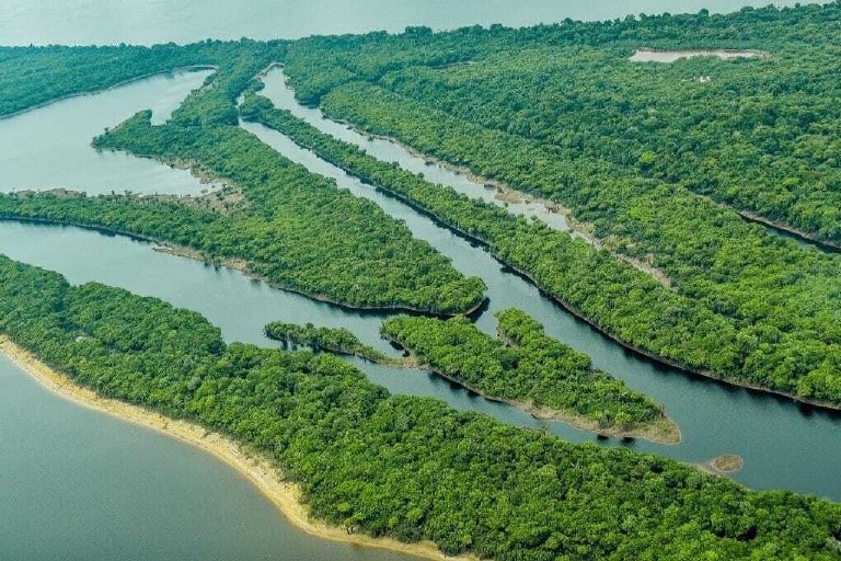 10 Curiosidades Sobre o Rio Amazonas Que Voce Nao Sabia | PDF