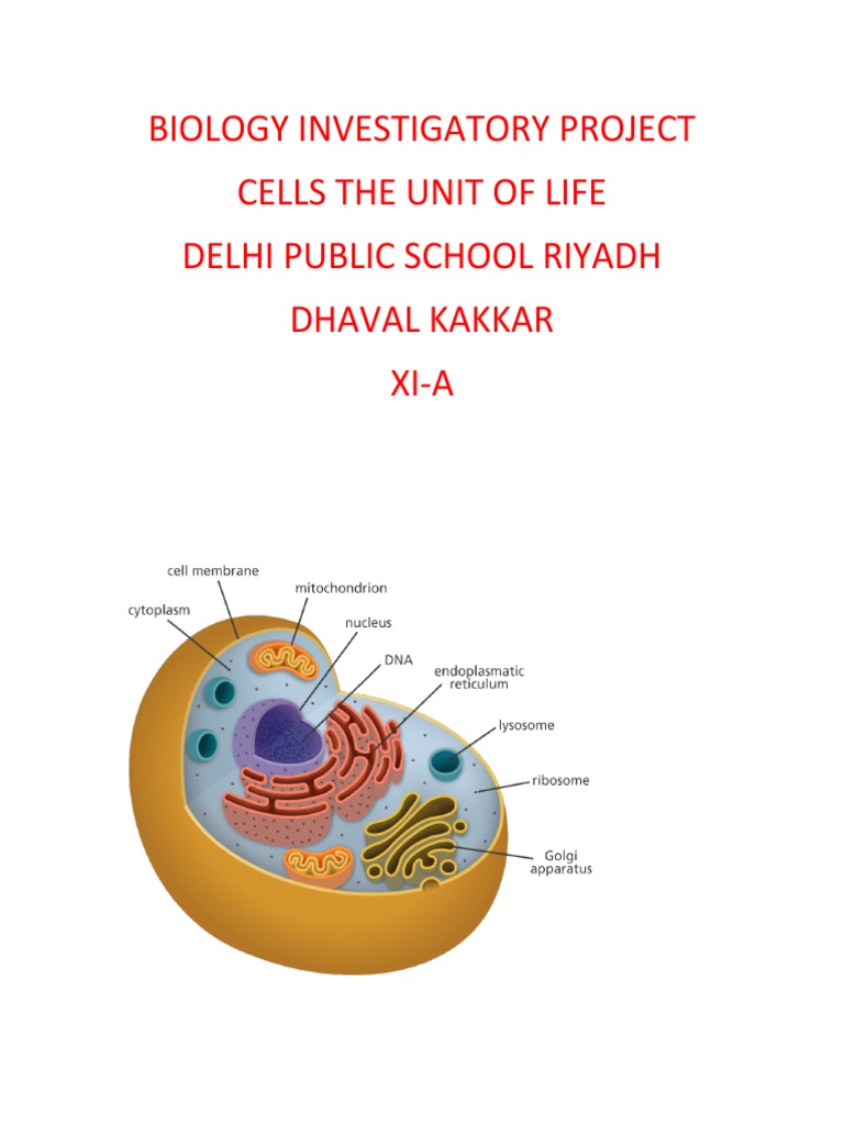 Cell Project: The Unit of Life | PDF | Cell (Biology) | Endoplasmic ...