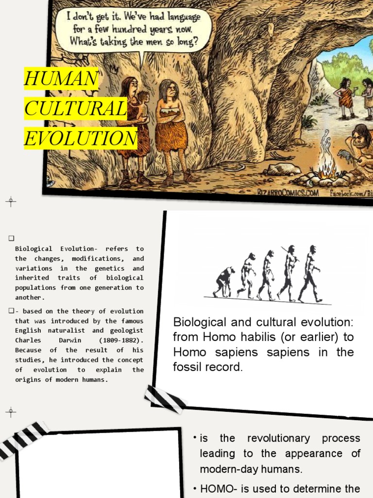 Human Cultural Evolution | PDF | Homo | Pleistocene