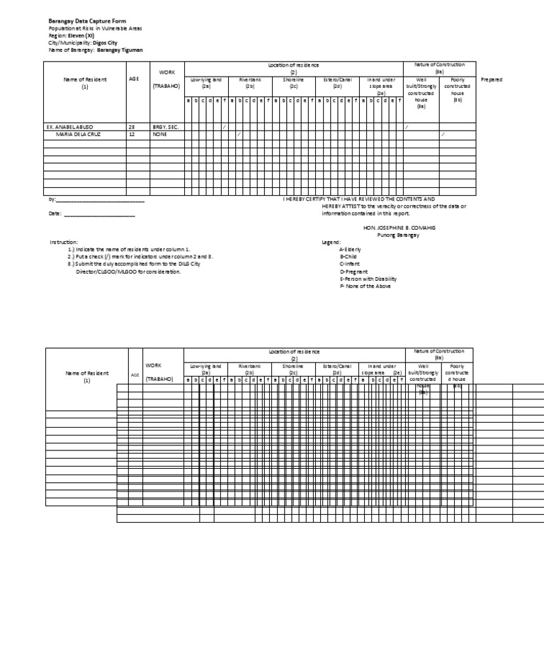 Barangay Data Capture Form Pdf
