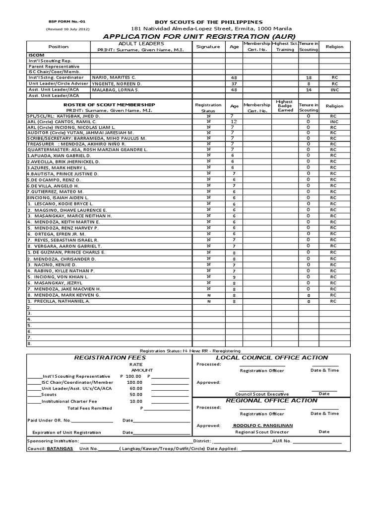 BUBUYAN ES BSP AUR Form KAB SCOUT | PDF | Scouting | Youth Movements