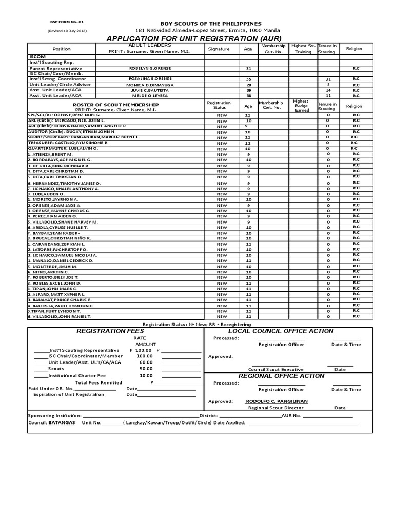 BSP AUR Form P. Elem NG Nangkaan | PDF | Girl Guiding And Girl Scouting | Scouting